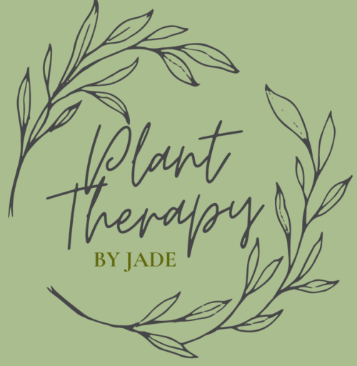 Fall Shade – Plant Therapy By Jade